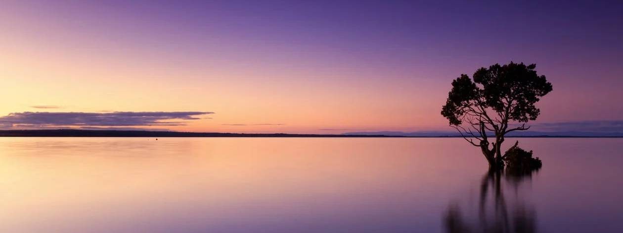 Философия и политика.