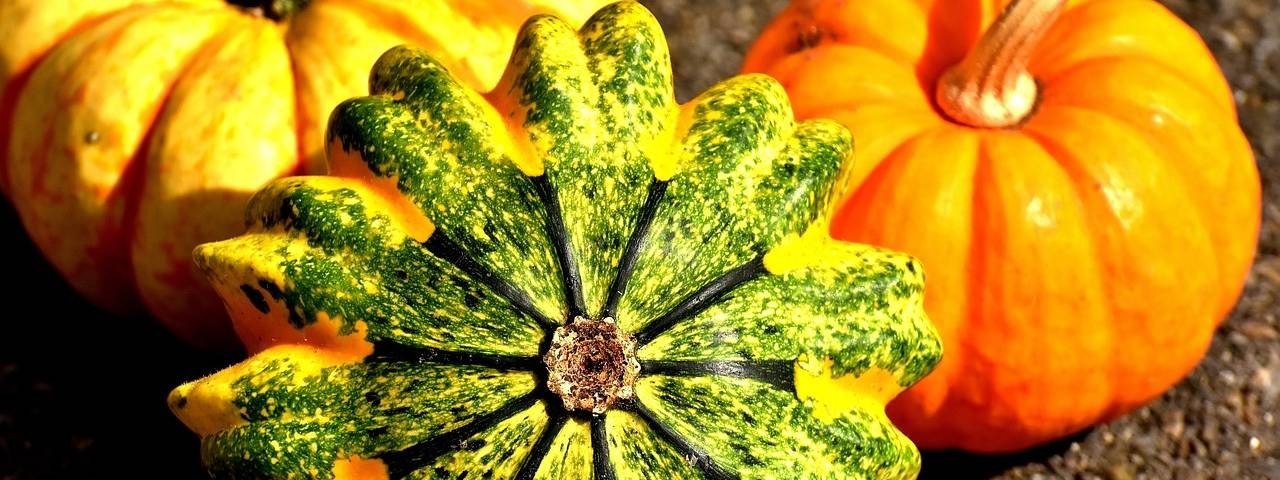 Ирина Ковалева