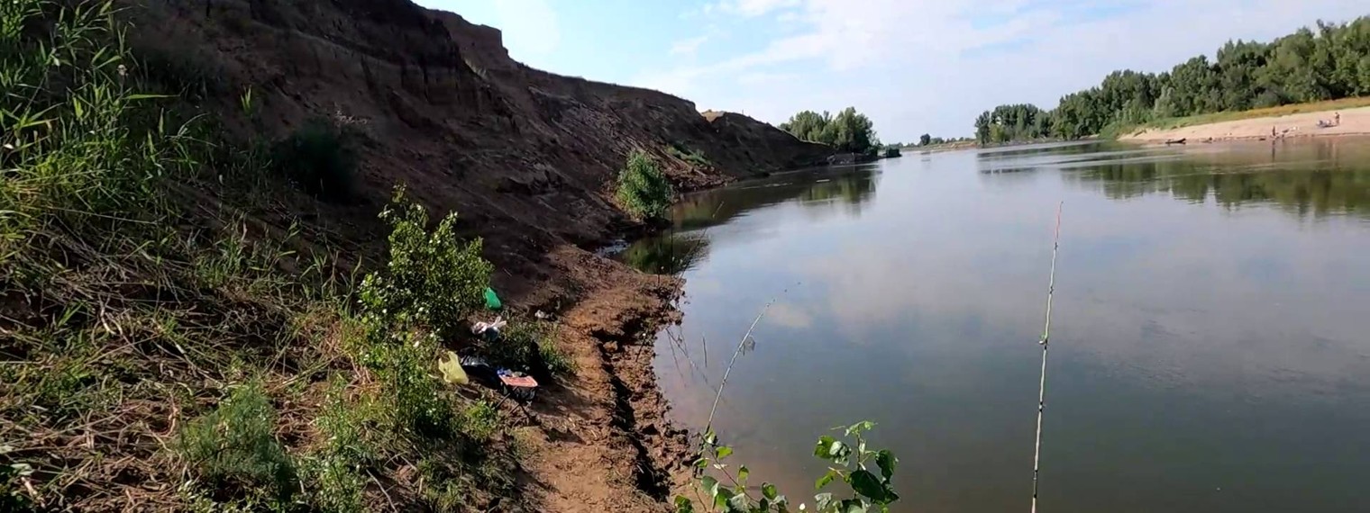 Жадная поклевка