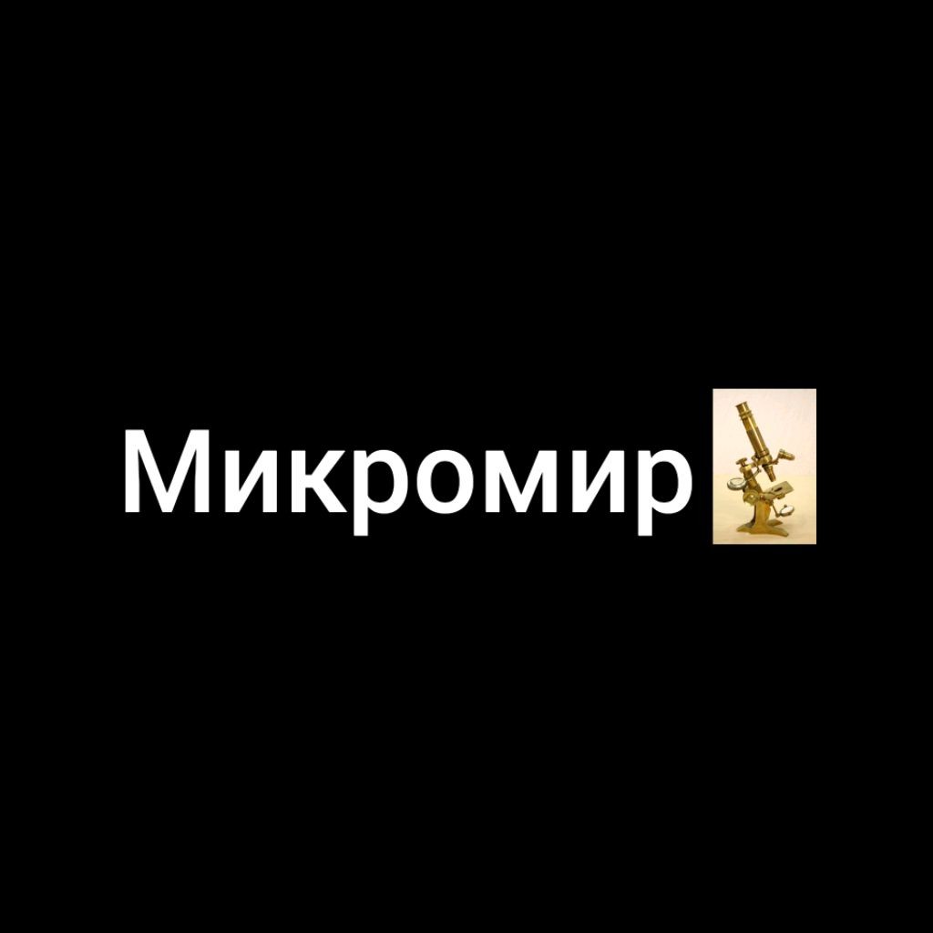 Микромир