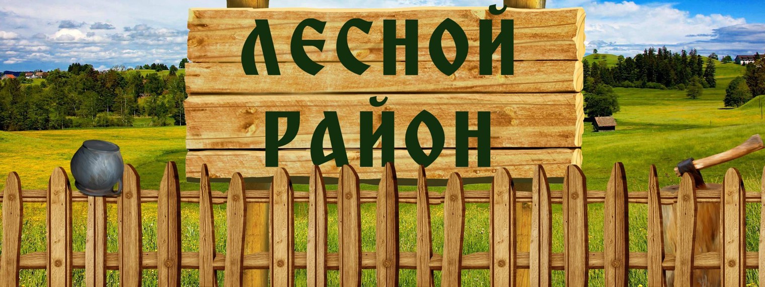 ЛЕСНОЙ РАЙОН