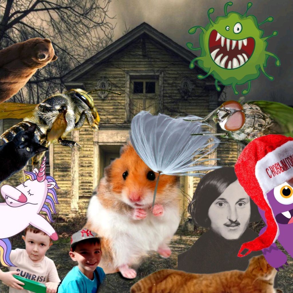 Хомяк блогер