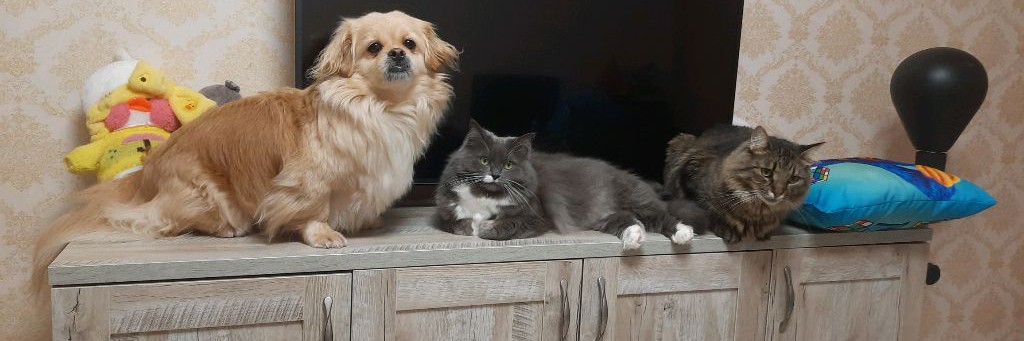 Кира и ее питомцы