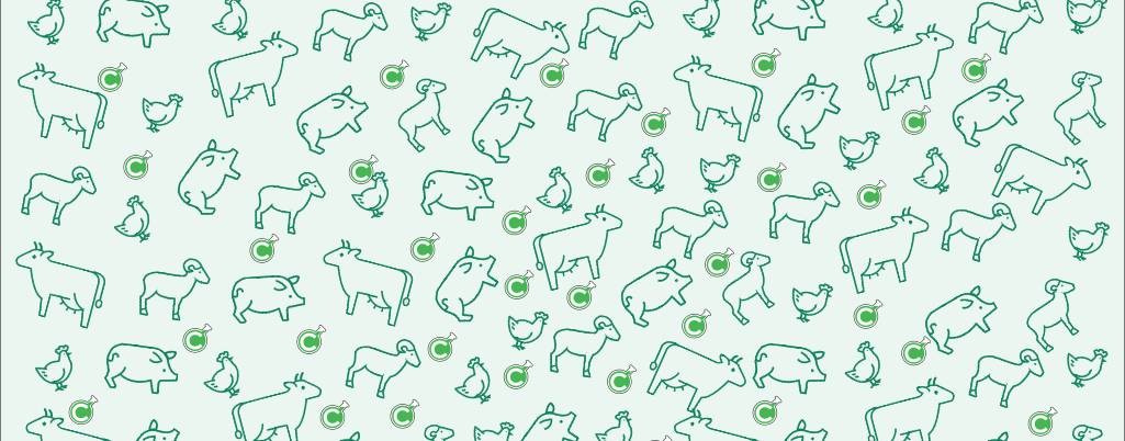 Нувихим Nuvichem