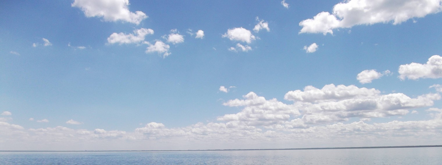 Заметки Светланы 9