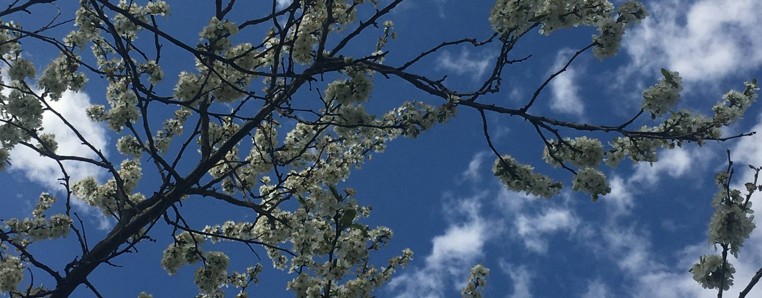 Евгения  ☀️ Солнечная ☀️