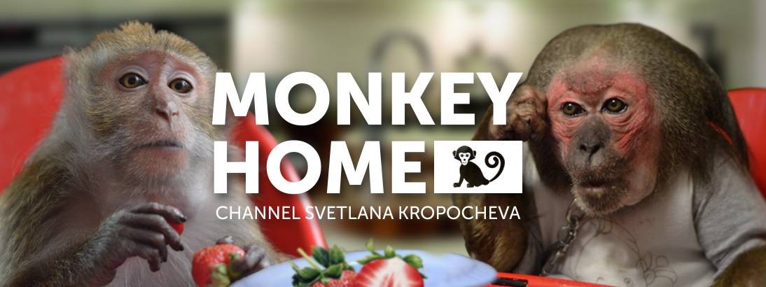 ОБЕЗЬЯНИЙ ДОМ (Monkey Home)