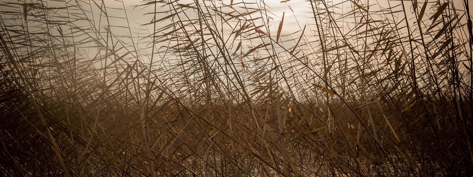 Охотник выходного дня