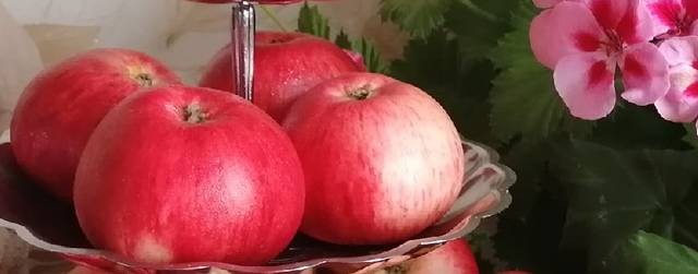 Валентина.Дневники.