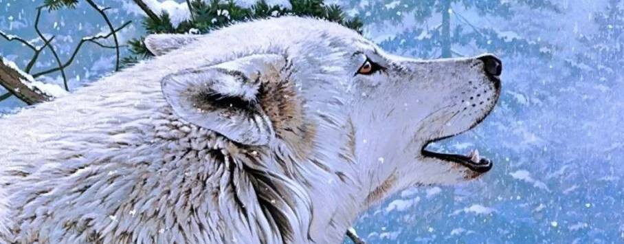 Лесные были