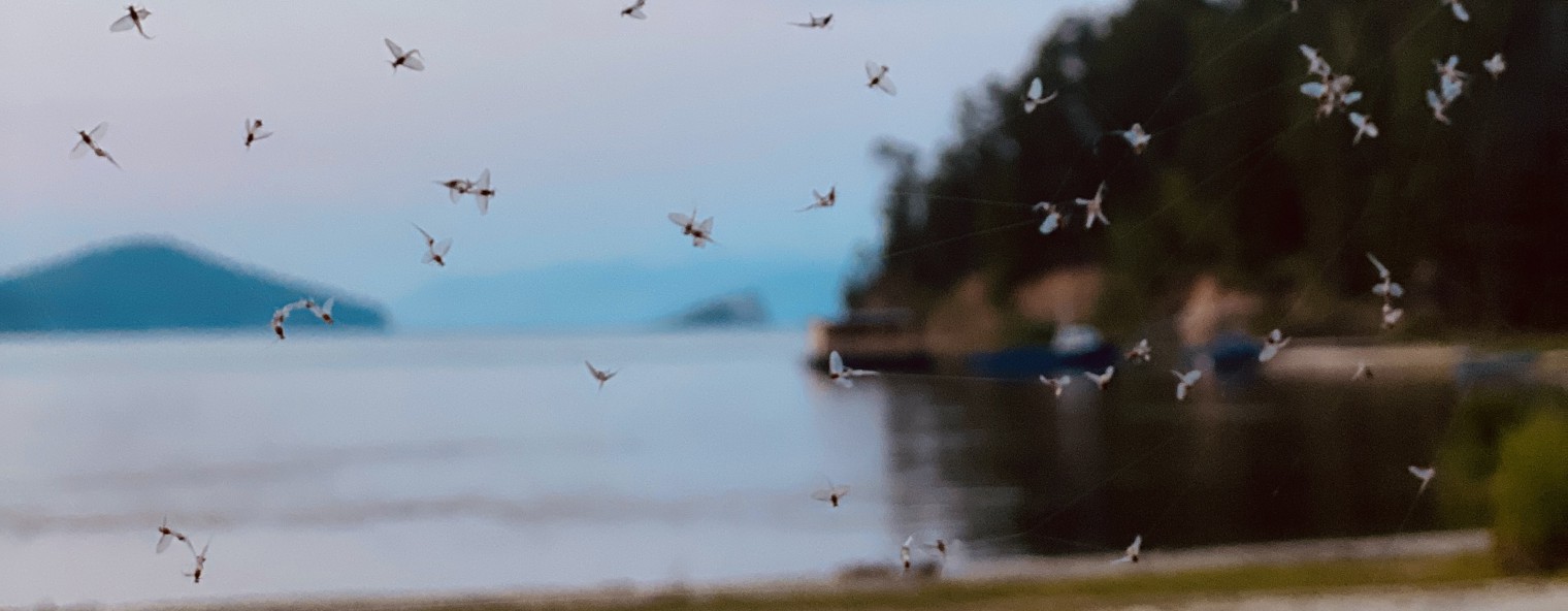 Natali в дороге