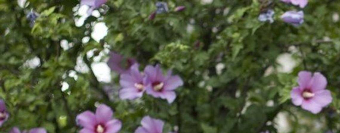 Учиться легко