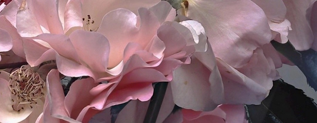 Оля Алныкина