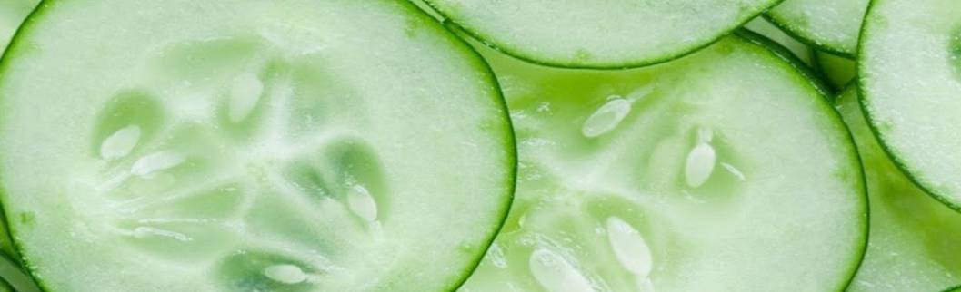 Огурец Вещает