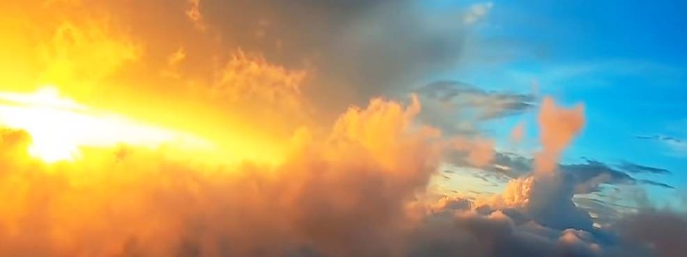 Николай Птицин