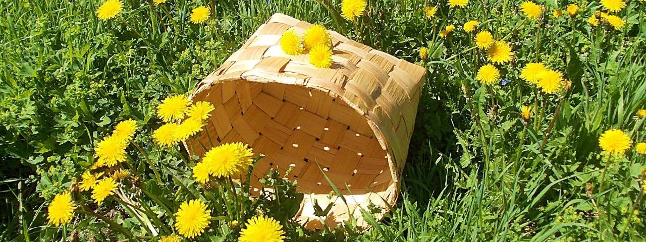 Северная деревенька