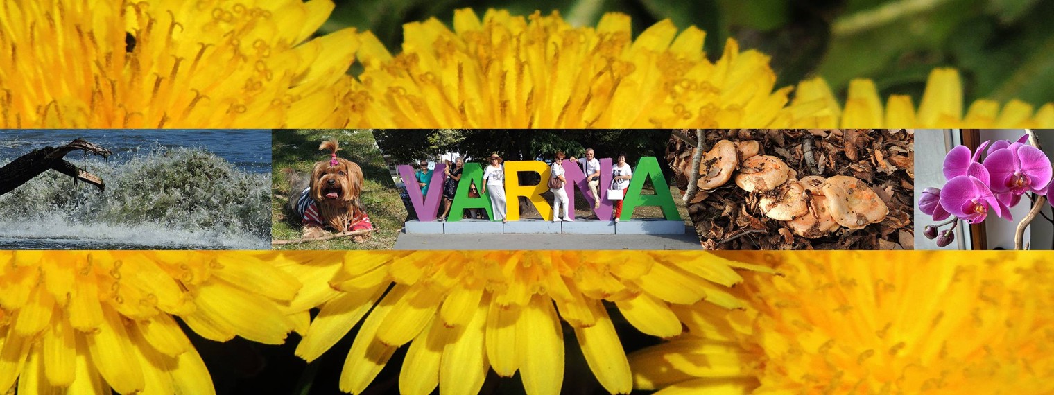 Непридуманные истории