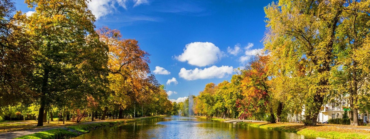 Николай Грищенков