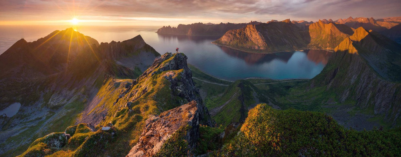 Siberian Max blogchannel