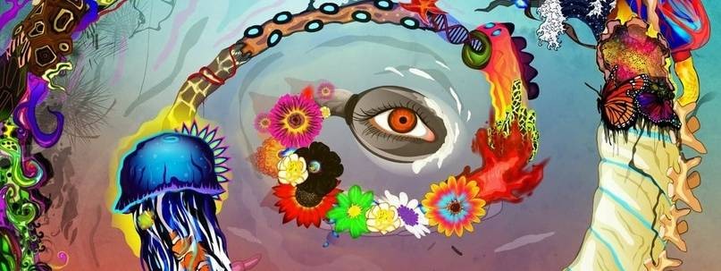 детский сад 55