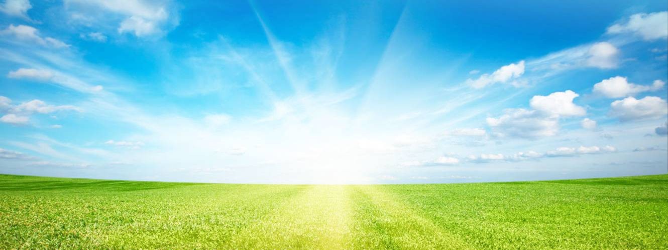 Новая Цивилизация