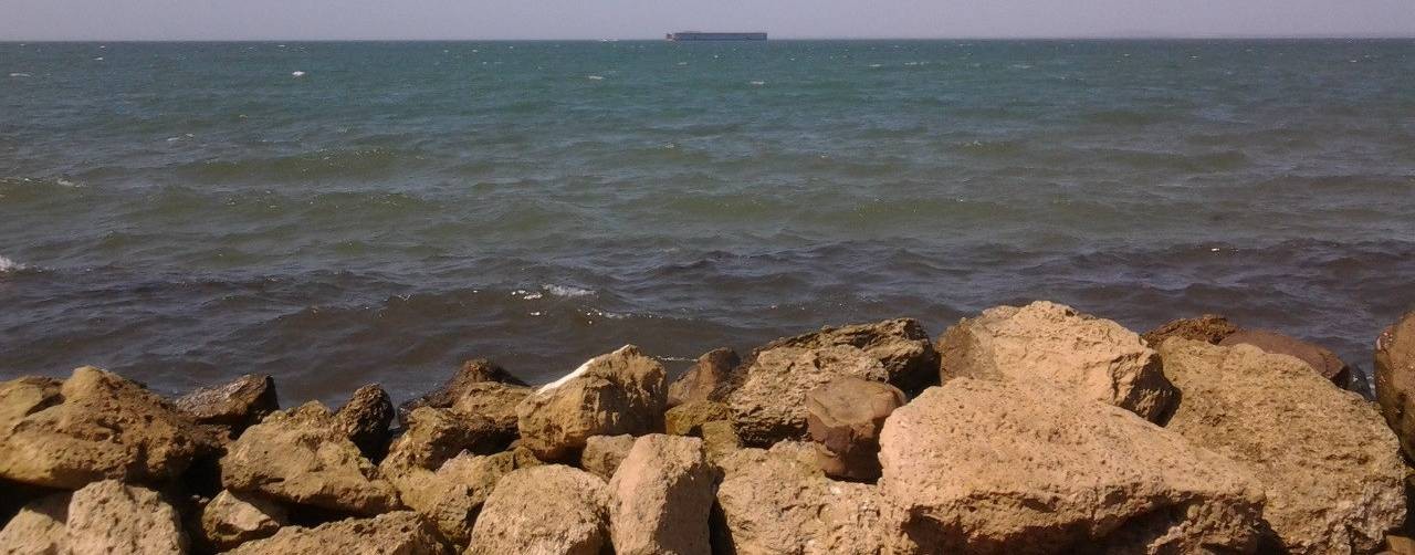 Подруга научила