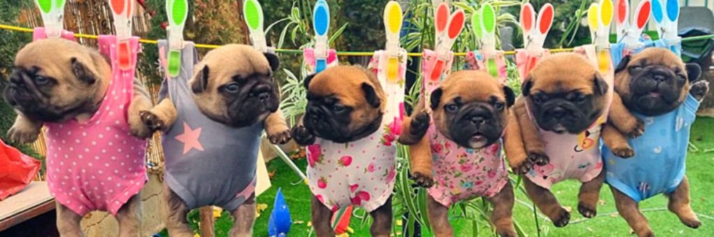 Татьяна АЙРОНФИСТ