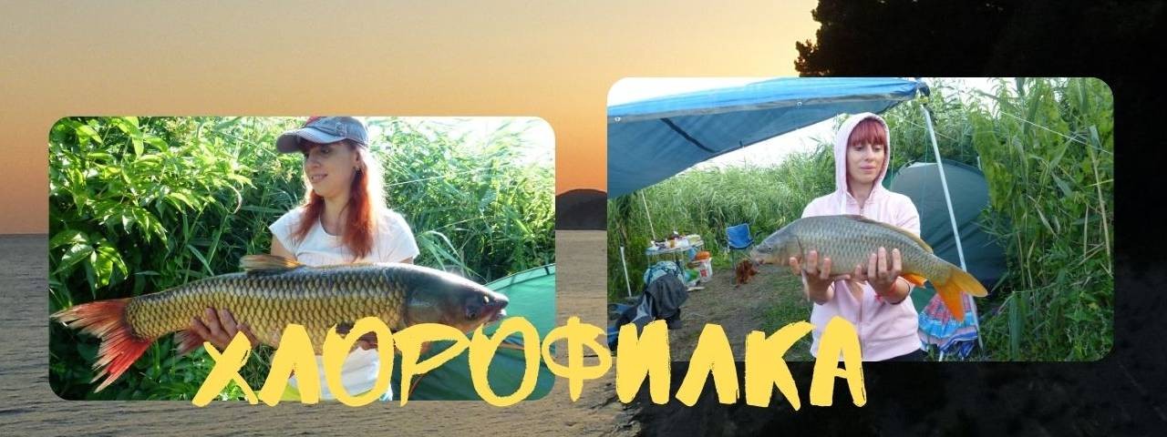 ХЛОРОФИЛКА