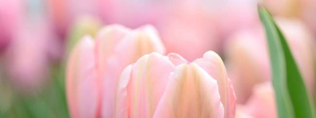 Детский сад № 15