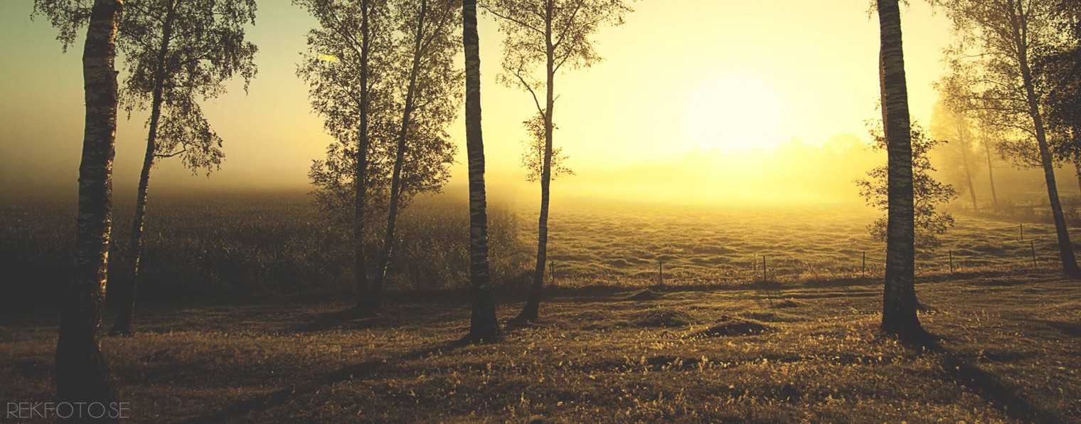 Жизнь в деревне