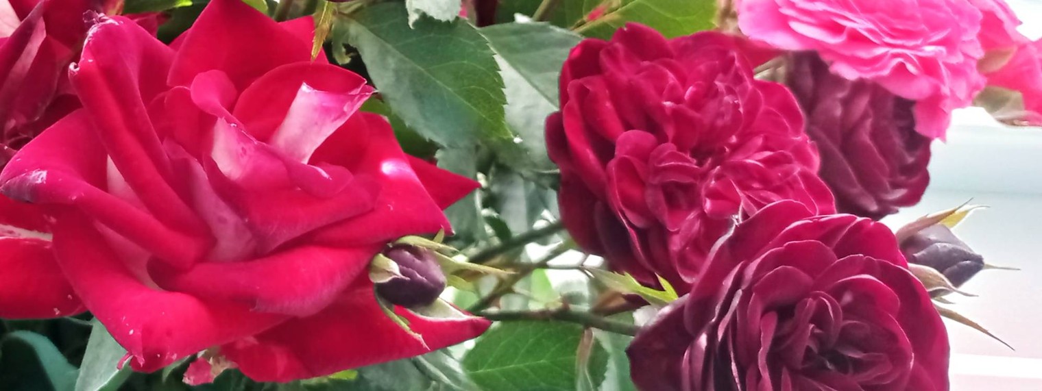 Светлана_LIFE