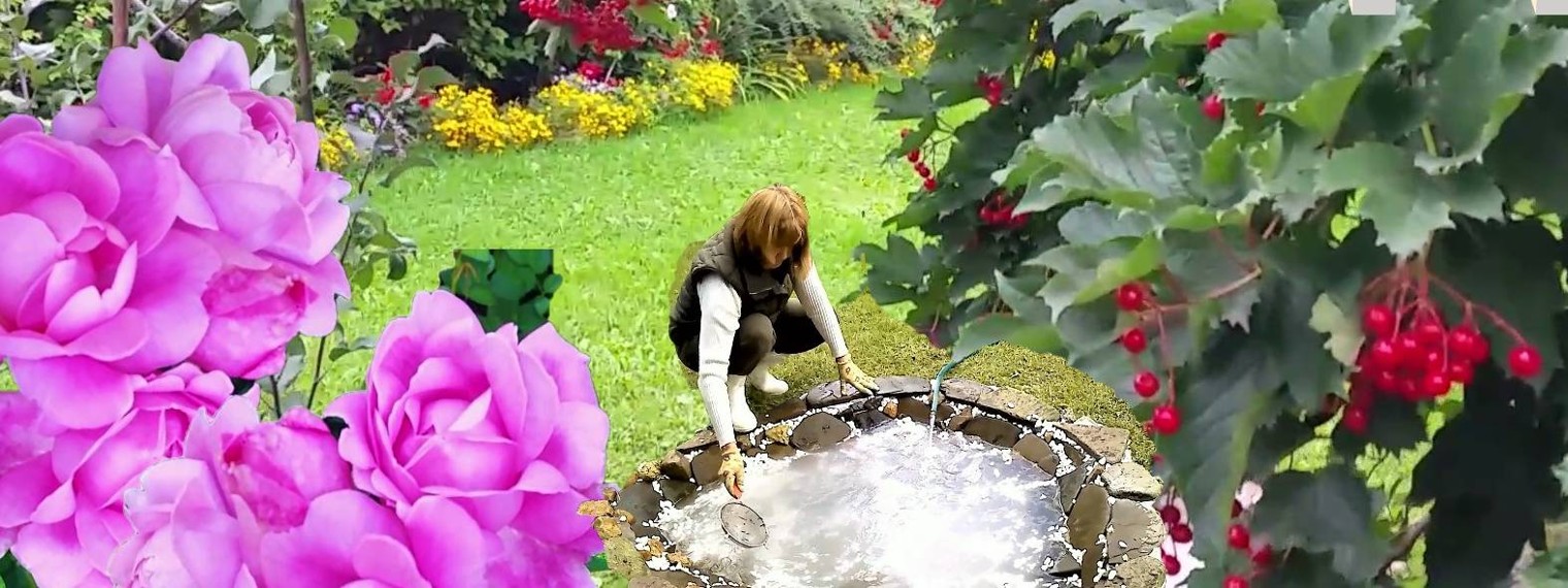 Галина Коруа. Подмосковная деревня