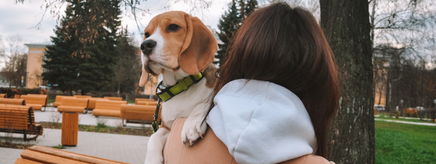 Бигль Лил и Настя