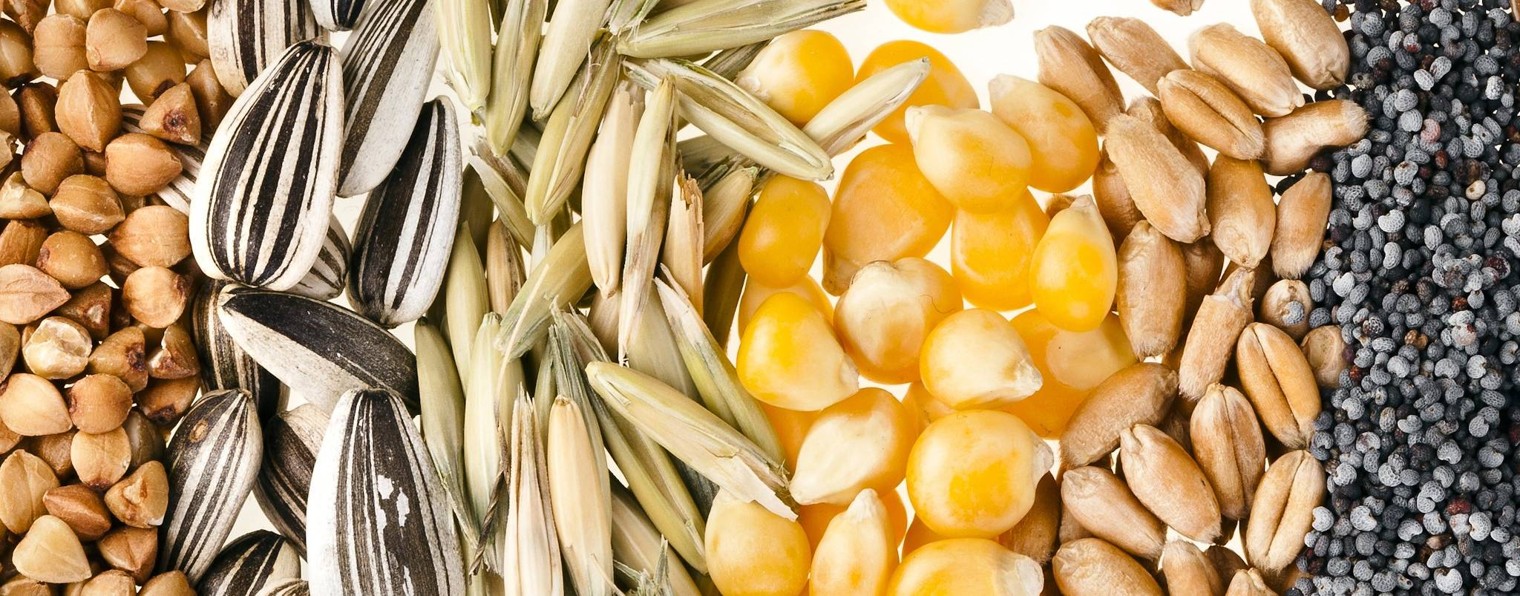 РОСАГРОТРЕЙД