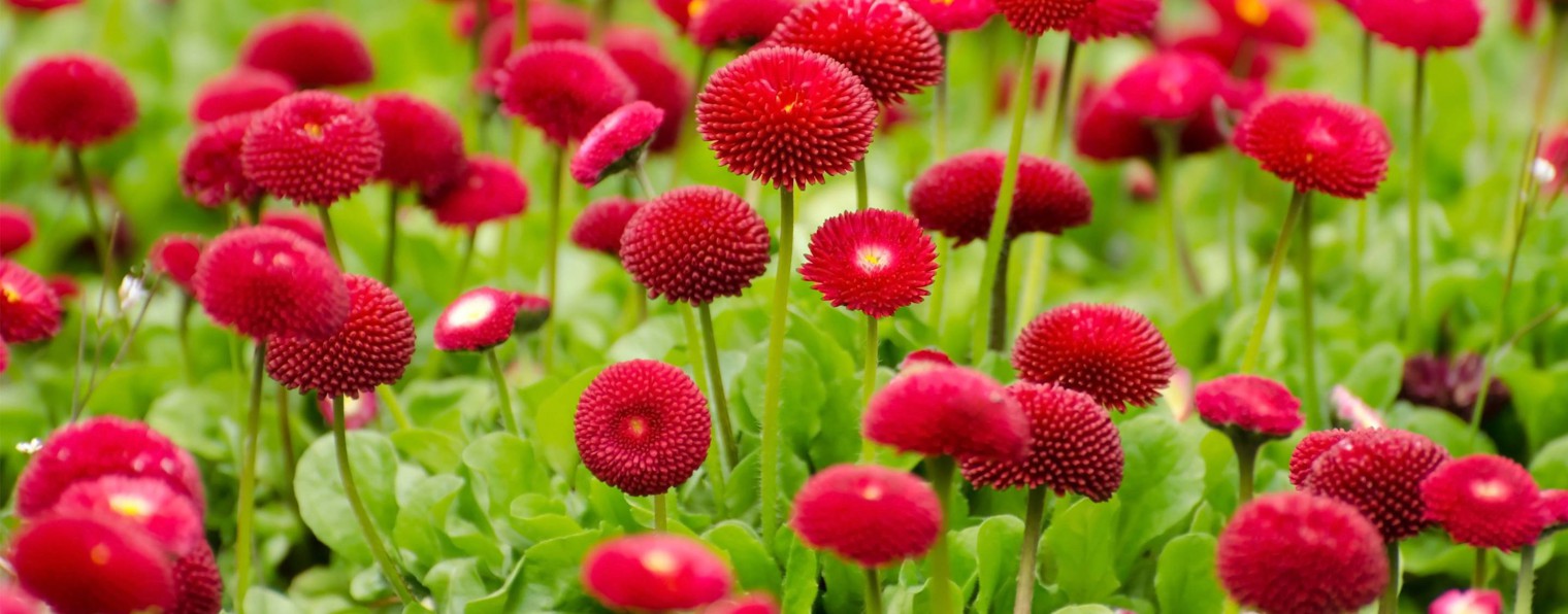 Вкусняшки и точка