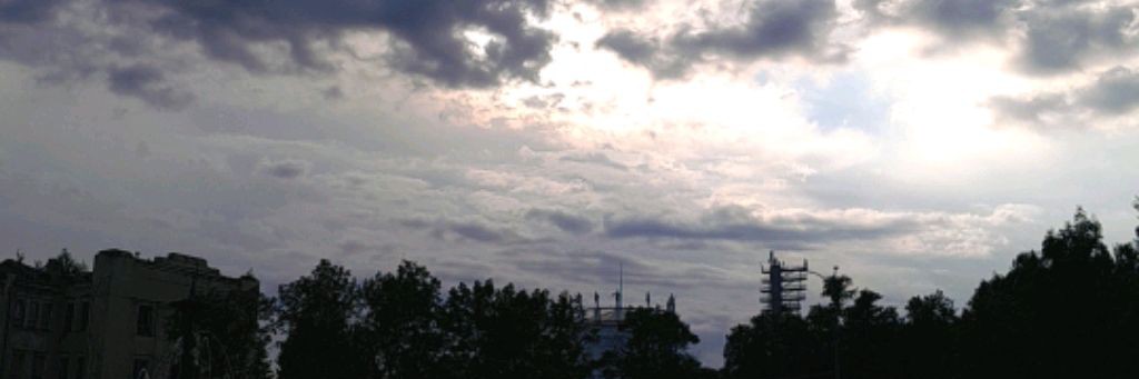 Виктория Лебедева