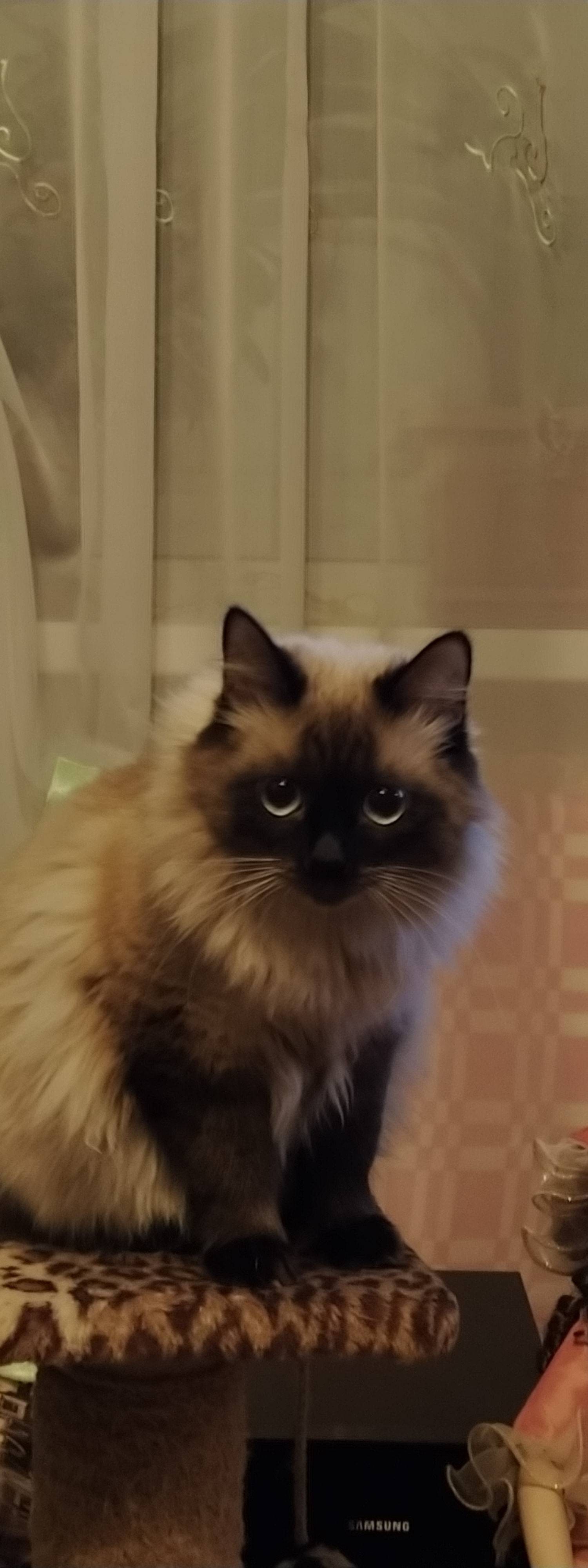 Сам для себя тренер