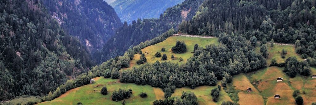 Swiss