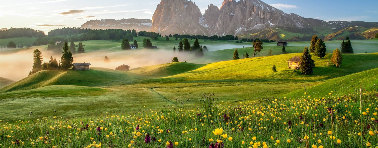 ABRAMстарший & ABRAMмладший