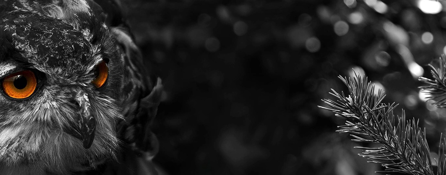 АО «Казанский оптико-механический завод»