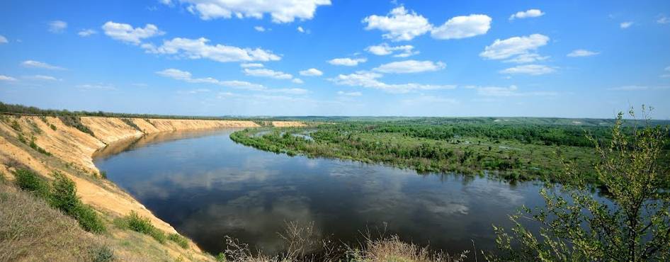 Вёшенская библиотека