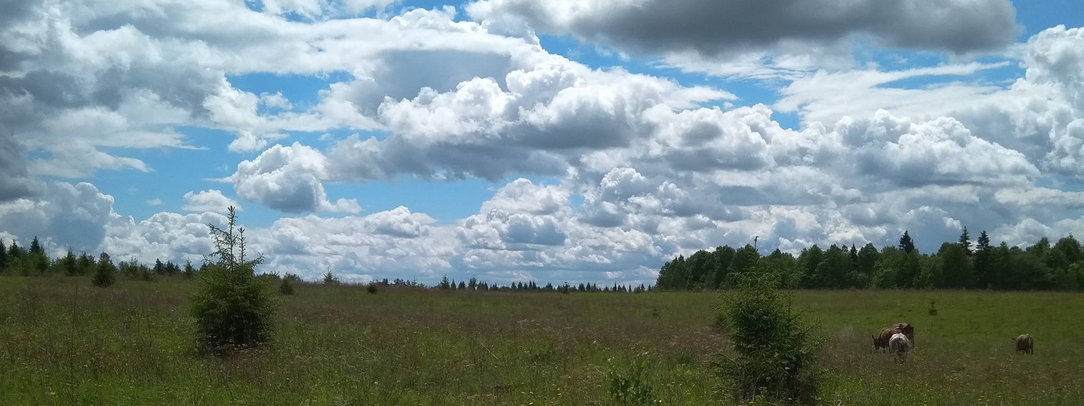 Семь раз отмерь