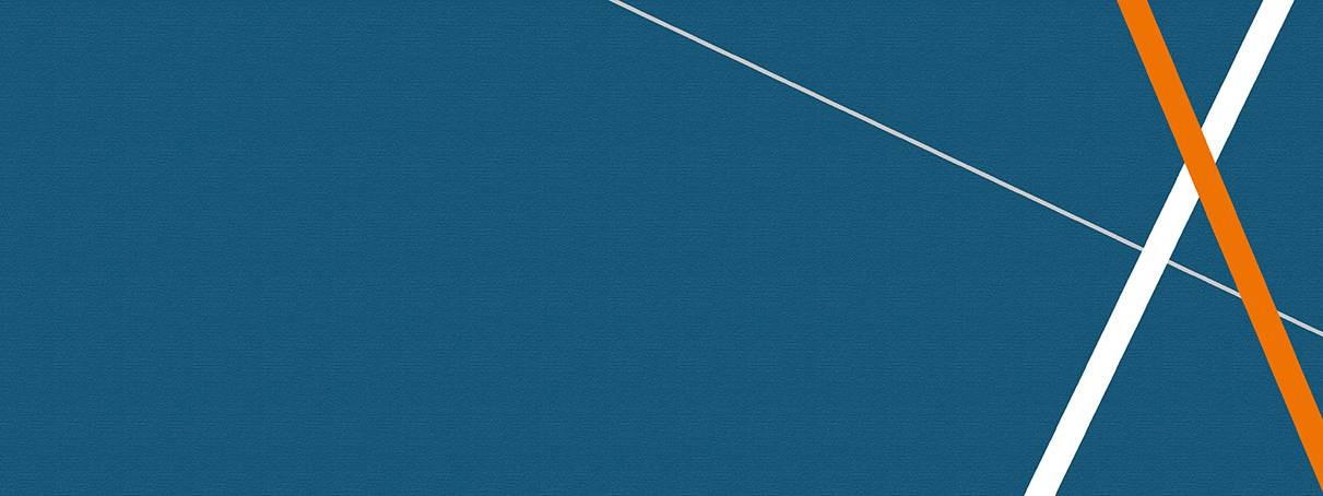 Фонд развития теорфизики и математики "БАЗИС"