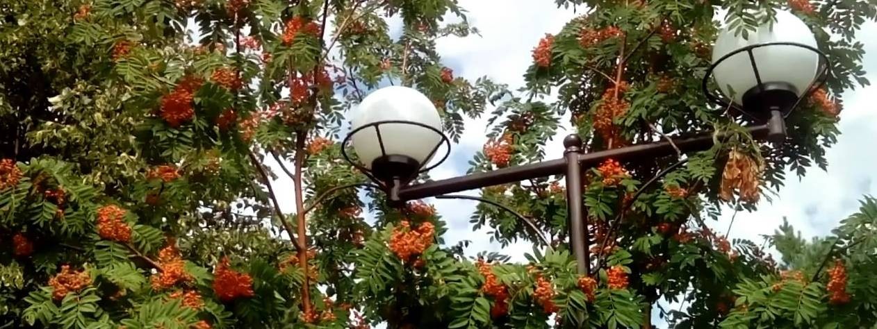 С пользой для здоровья и хорошего настроения