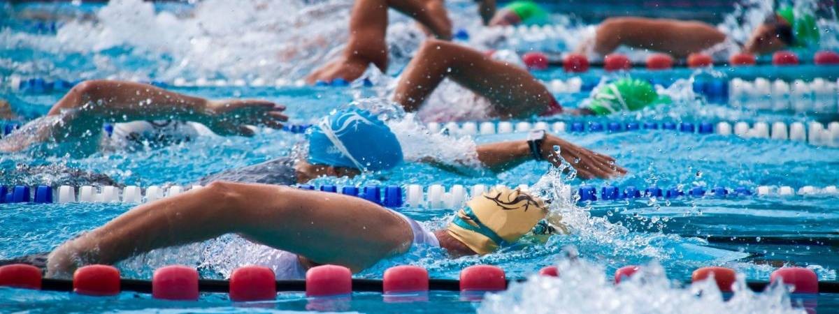 Федерация плавания города Ростова на Дону