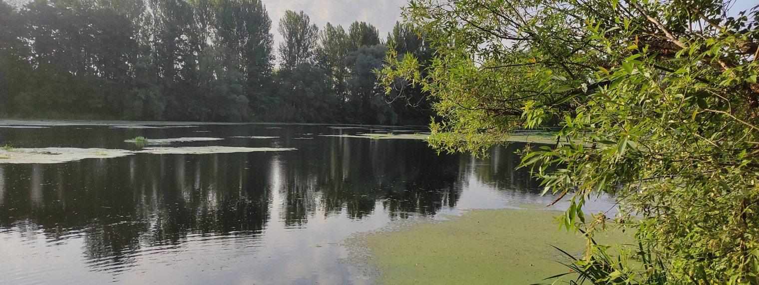 Владимир Киреев