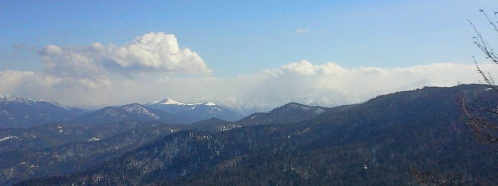 О Природе и Музыке