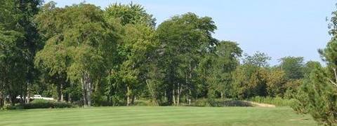 Здравый смысл