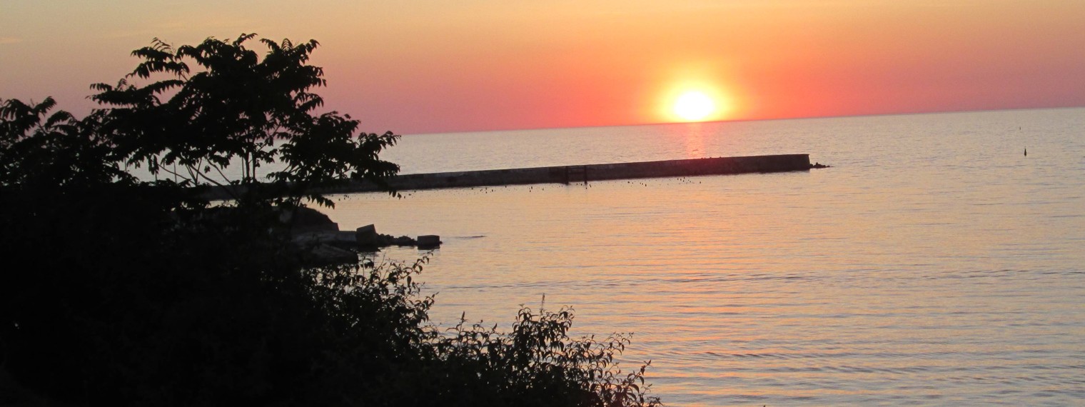 Оксана Кривцун