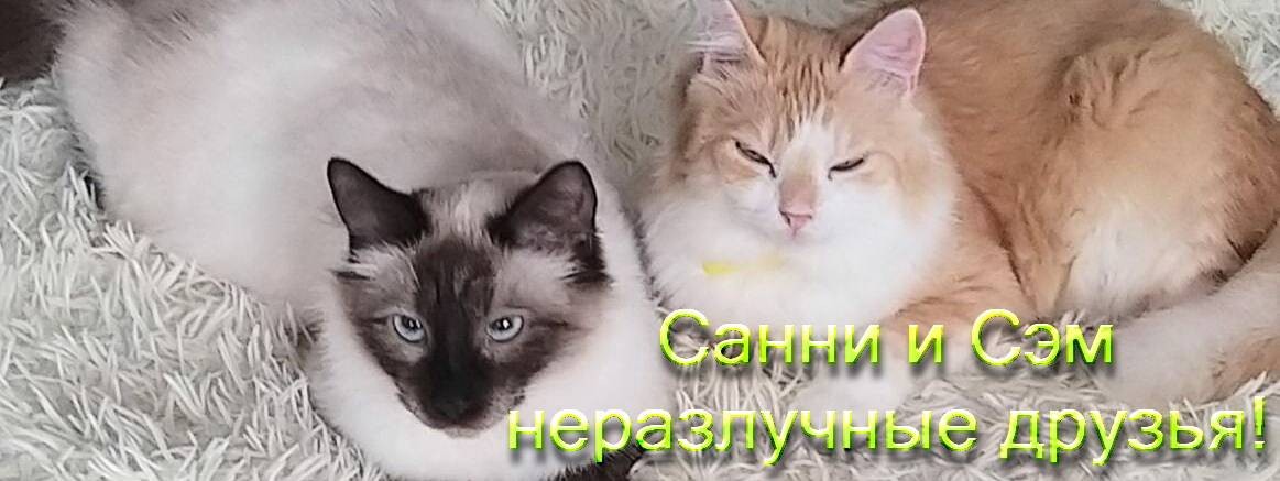 ? Санни и Сэм неразлучные друзья!?